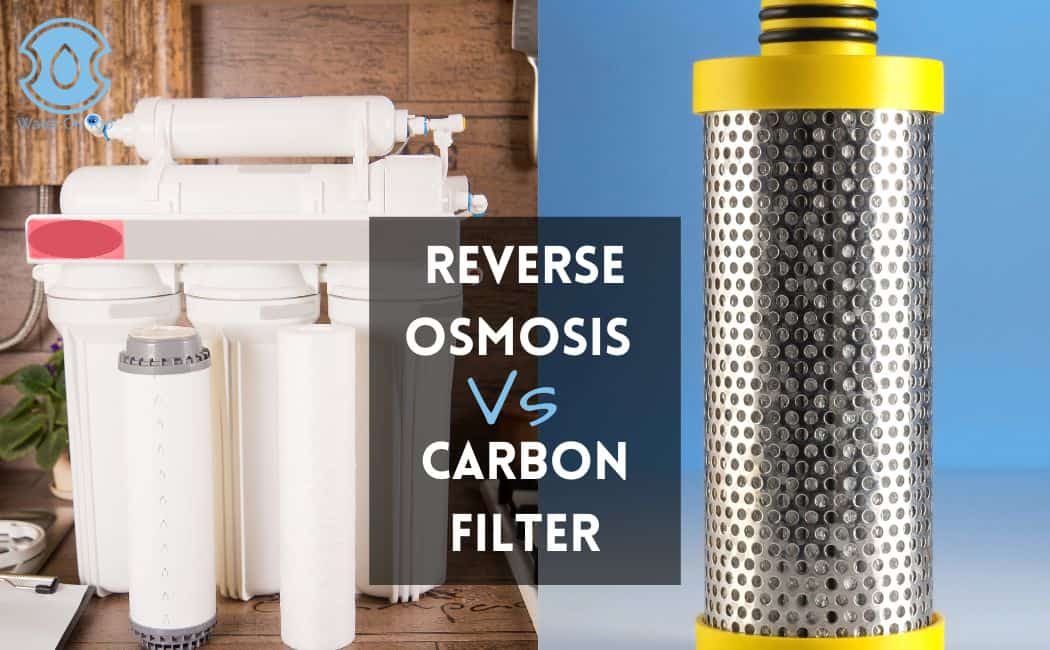 Reverse Osmosis Vs Carbon Filter (All You Need to Know)